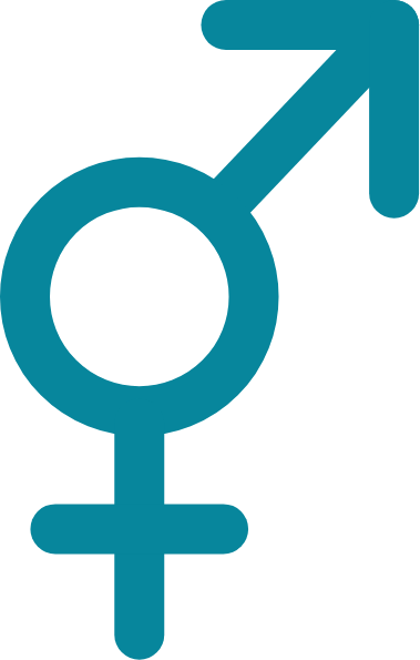 Ärzte – Praxis Vringsveedel